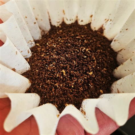 Cafe Oz Ozbeans 빗소리 들으며 커피마시기 좋은 날 복잡한 송리단길 이 부담스러우시다면 고즈넉한 공원앞카페 Cafeoz 예멘모카 다시 준비해