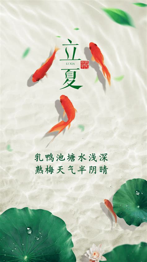 今日立夏万物盛大诗词