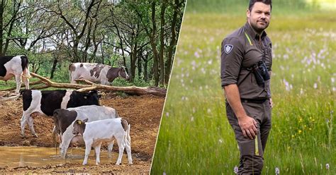 50 Hectare Bos Gekapt Op Manderheide Moet Je Nu Eens Zien Wat Daar