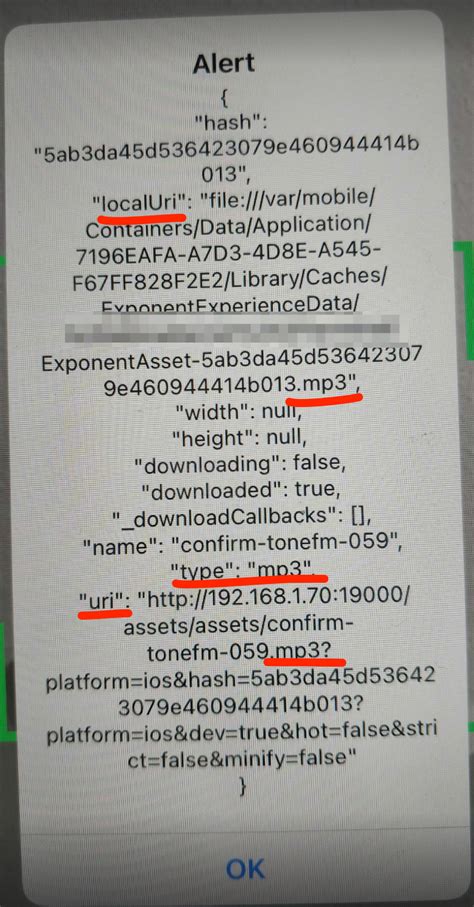 Expo Av Ios Audio Not Working On Prod Builds After Upgrading Sdk 42 To 43 Ios Ipad · Issue