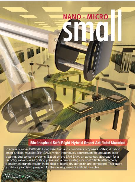 田洪淼 田 洪淼 教师个人主页