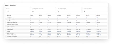 NetSuite Sales Force Automation NetSuite