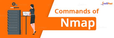 Nmap Commands List Of Top Nmap Command You Should Know In