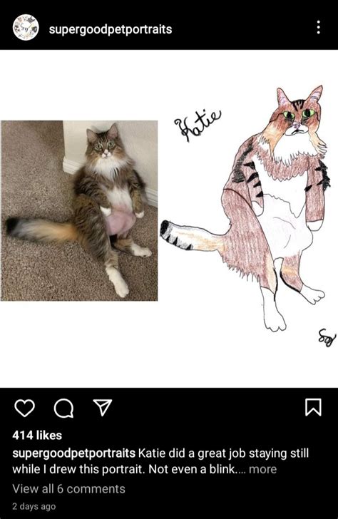 Instagram Cringe Page 2 Kiwi Farms