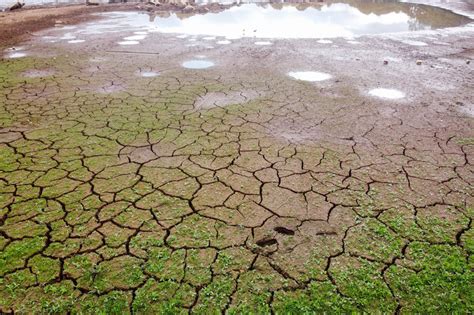 ONU alerta que seca pode ser a próxima pandemia O Presente