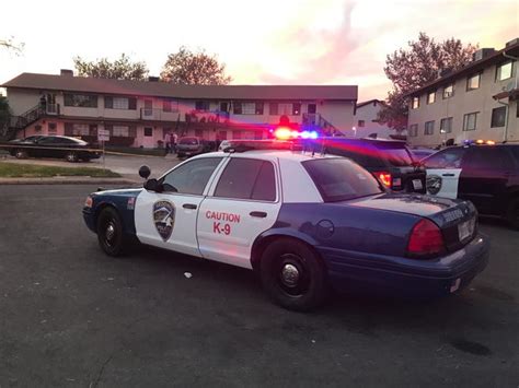 Update One Person Detained As Police Respond To Reports Of Shots Fired