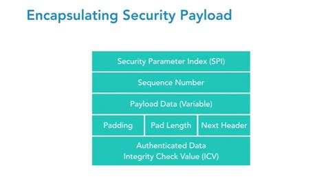 IPsec VPN