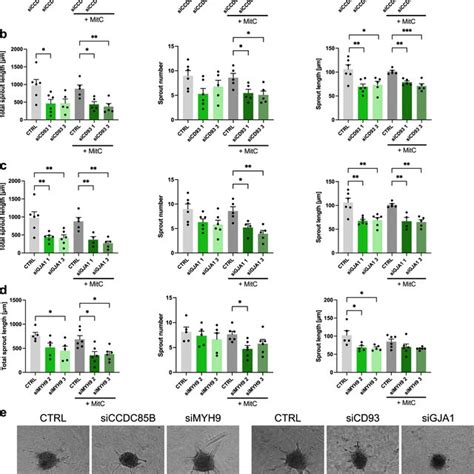 Validation Of Tip Cell Marker Phenotype In Vivo A D Expression Levels