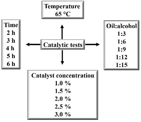 Experimental Design For Transesterification Reactions Download Scientific Diagram