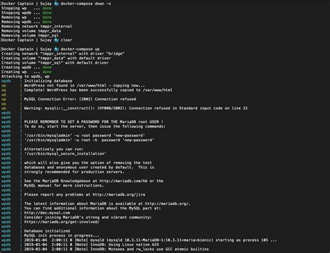 Docker Wordpress Container Just Works Default Credentials Stack Overflow