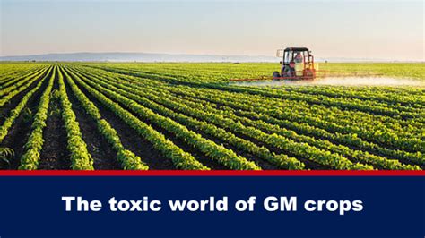 The Toxic World Of Gm Crops The Expose
