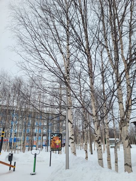 Доброе утро оленегорцы На календаре суббота 1 апреля ️ Пасмурно