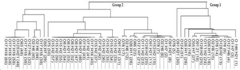 dendrogram of stec strains based on their multiple locus download
