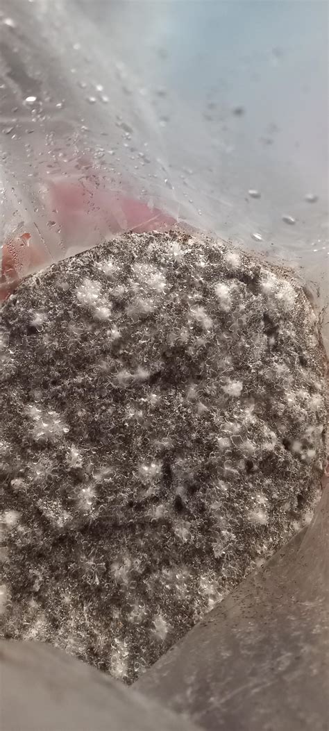 Is This Looking Ready To Fruit R Unclebens