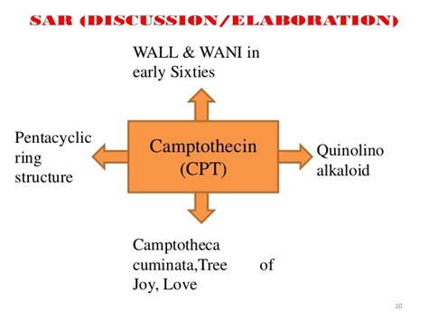 Structure Activity Relationship 6