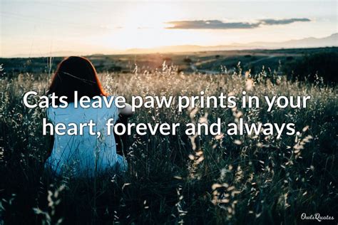 15 Cat Passed Away Quotes