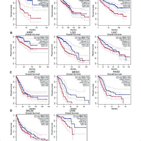 Analysis The Signaling Pathway For Ube2c In Human Cancers A D The