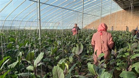亚行项目将助力中国甘肃彰显气候适应能力 亚洲开发银行
