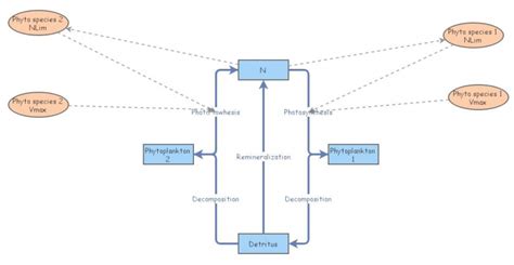 This Is Messy Np Sans Z Model Insight Maker