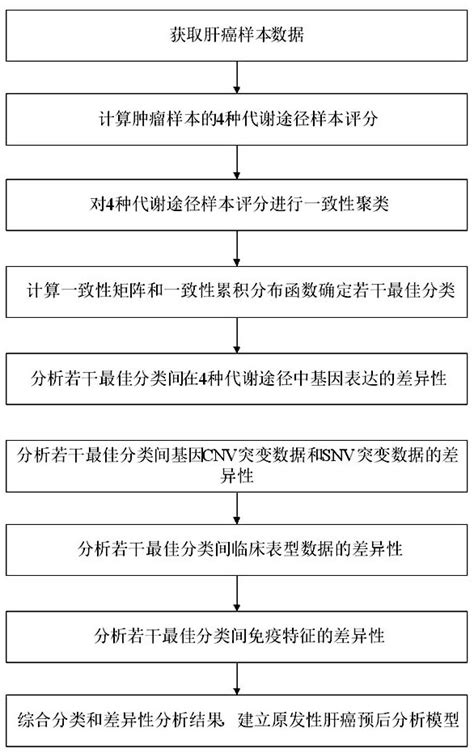 Primary Liver Cancer Gene Classification And Liver Cancer Tissue Energy Metabolism Based