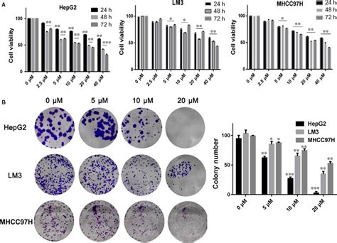 The Inhibitory Effects Of Ba On Hcc Cell Lines Viability A The Cell