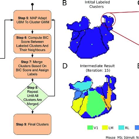 pipeline for semi supervised clustering of visual areas a block download scientific diagram