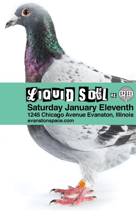 LS Space Liquid Soul