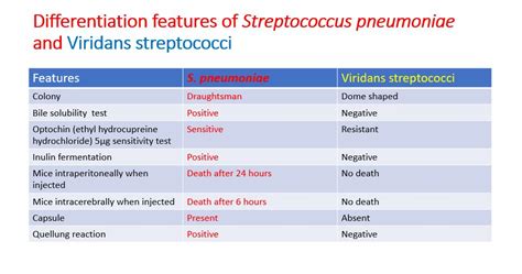 Streptococcus Pneumoniae Versus Viridans Streptococci