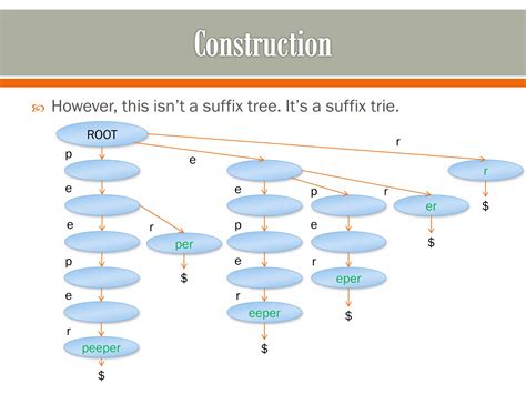 Introduction Of Suffix Tree Pdf Programming Languages Computing