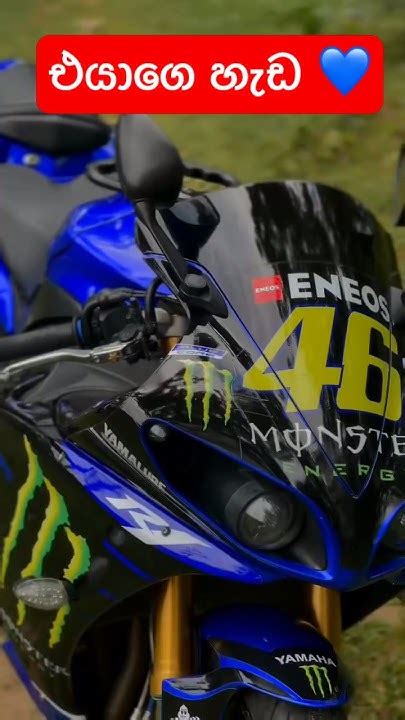 Yamaha R1 😵🔥 Srilanka Youtubeshorts Viral Bike Bikelover
