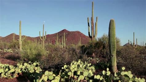 Arizona Senate Candidate Killed In Dui Crash Police Say