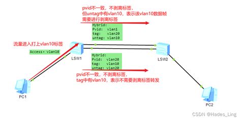 以太网 Vlan数据帧格式、交换机接口类型介绍、u和t的区别和作用vlan格式 Csdn博客