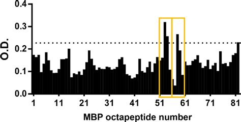 Figure 4 From Epstein Barr Virus Nuclear Antigen 1 Ebna 1 Peptides