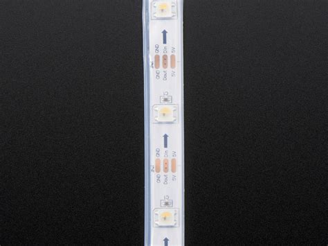 buy adafruit neopixel digital rgbw led strip white pcb 30 led m 2m