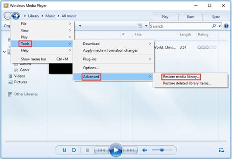 Windows Media Player Library Corrupted Windows 10 Gostcontrol
