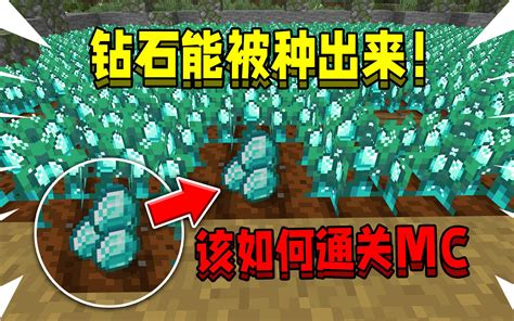 当钻石能被种出来！所有矿物都变成农作物，该如何通关mc！ 晨露zlq 晨露zlq 哔哩哔哩视频