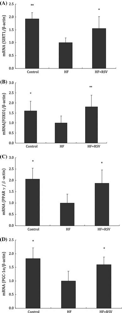 Relative Mrna Expressions Of Hepatic Sirt1 A Foxo1 B Pparγ C