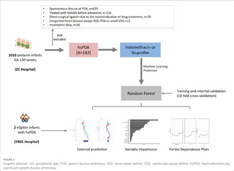 Figure 1 From An Interpretable Machine Learning Model For Predicting