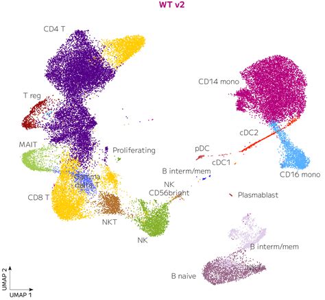 Comparison Of Evercode™ Wt V3 And Evercode™ Wt V2 In Human Immune Cells Pbmcs Parse Biosciences