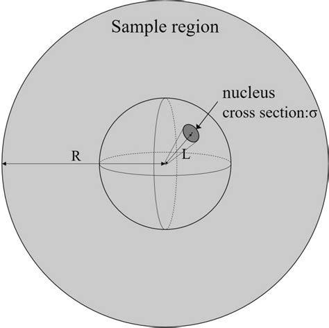 Schematic Diagram Of A Spherical Sample Download Scientific Diagram