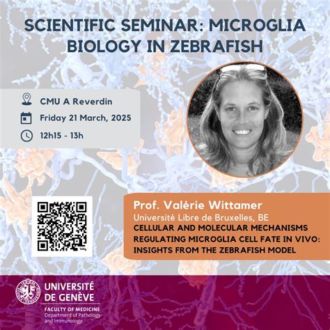🧠 The Central Nervous Systems Immune Cells Microglia Are Critical For Brain Health And