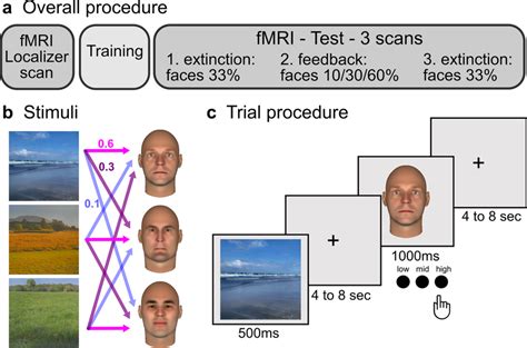 Procedure And Stimuli A The Experiment Started With A Functional