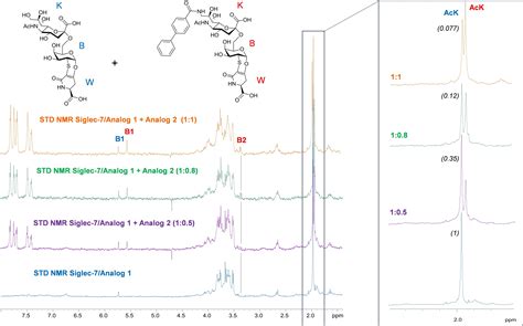 Tumor Carbohydrate Associated Antigen Analogs As Potential Binders For Siglec‐7 Di Carluccio