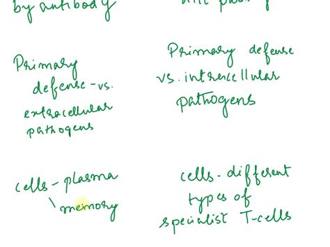 Solved Compare And Contrast Antibody Mediated Humoral Vs Cell