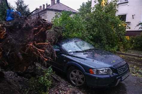 N oubliez pas de prendre une photo de ces choses après un accident