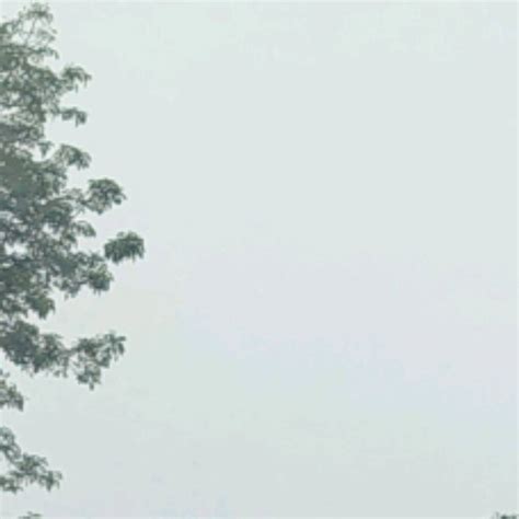 欧冠巅峰对决：枪手主场迎战银河战舰阿森纳防线阿森纳