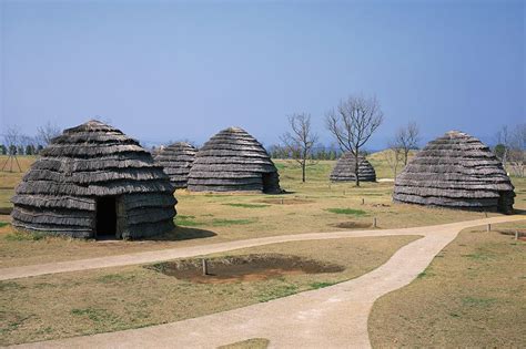 上野原縄文の森｜九州への旅行や観光情報は九州旅ネット