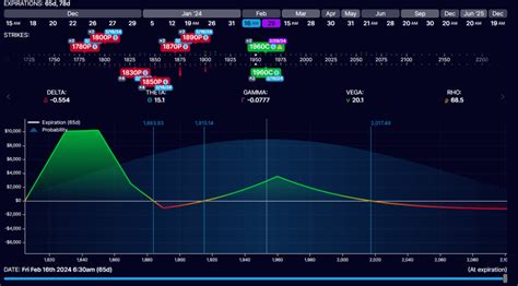 Adjusting The Rhino Options Trade Example In Crazy Up Move