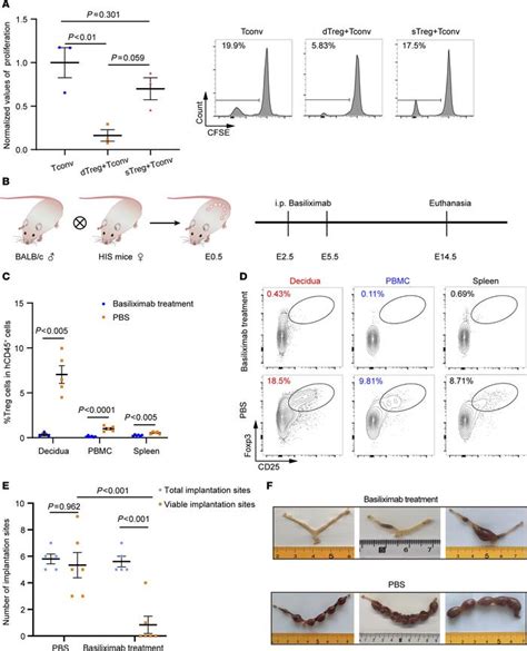 Jci Insight Development Of A Humanized Mouse Model With Functional
