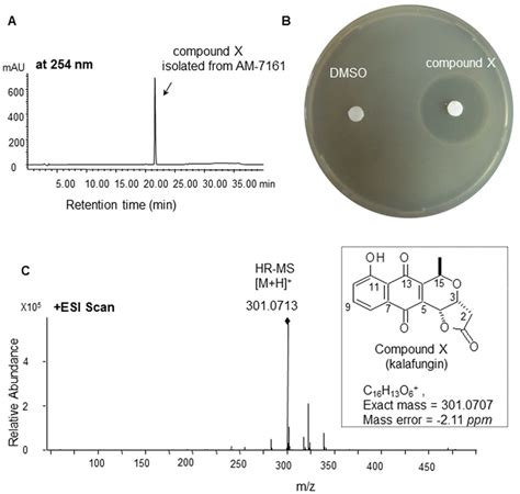 Purification And Structural Elucidation Of Compound X Isolated From